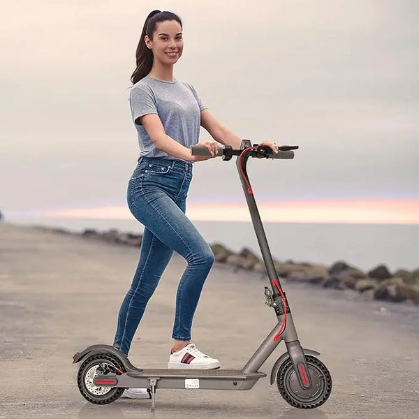 ESA Pro: All-Weather Electric Scooter | Heavy Duty for Road Warriors ...