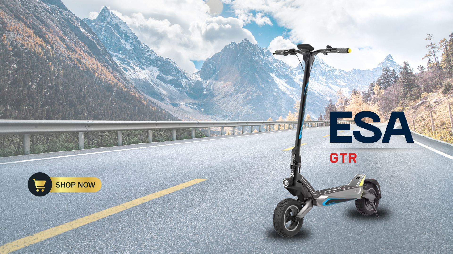 Buy Electric Scooters in Australia For Adults and Kids – Electric ...