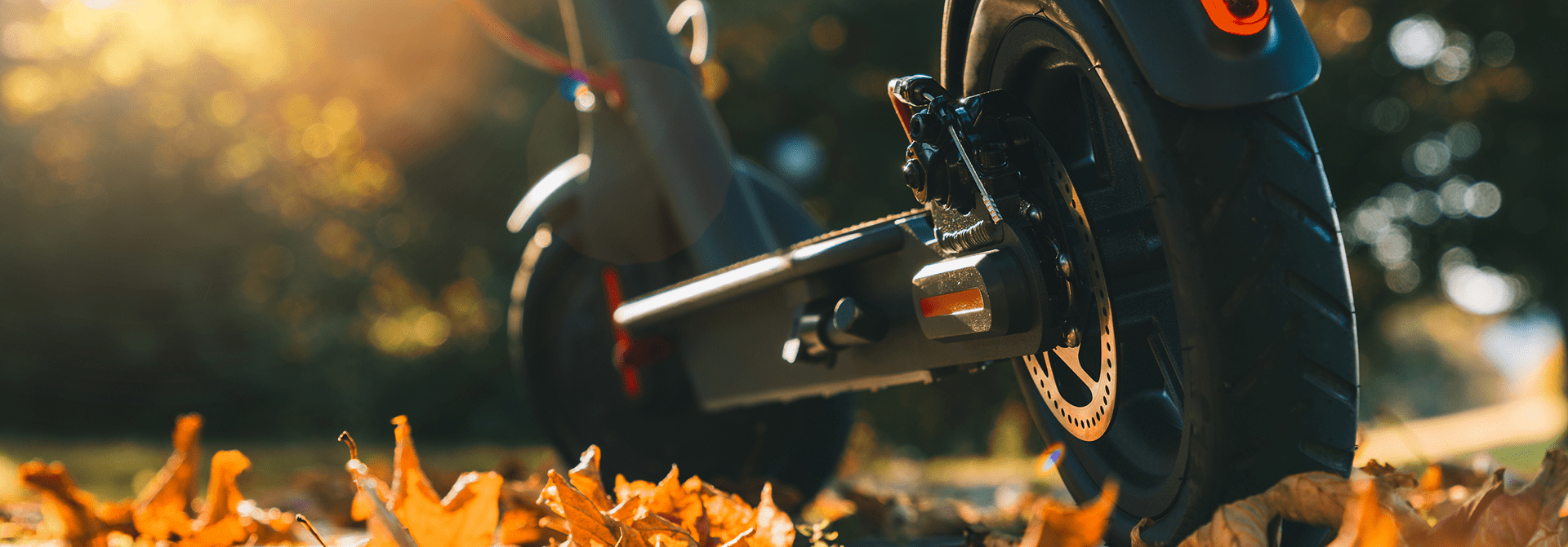 ESA Pro: All-Weather Electric Scooter | Heavy Duty for Road Warriors ...