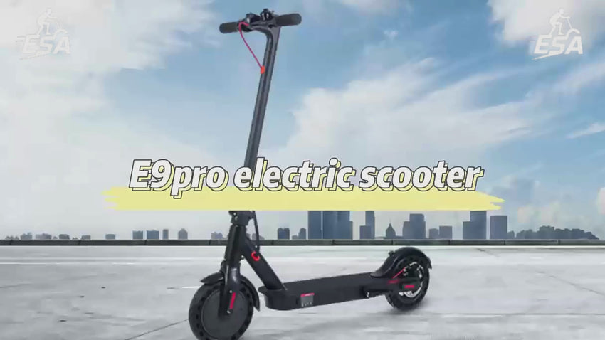 ESA Pro: All-Weather Electric Scooter | Heavy Duty for Road Warriors ...